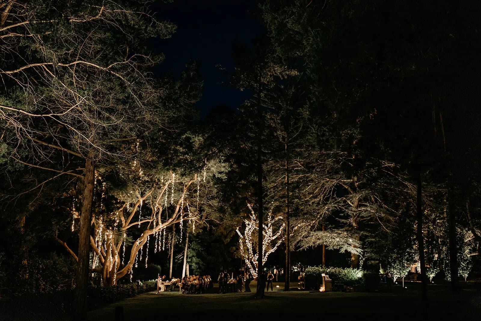 Wedding Reception Spaces - Gabbinbar Homestead